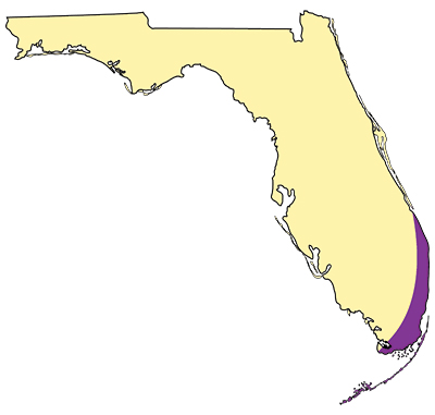 Florida Beach Camping Guide : Orlando Family Magazine