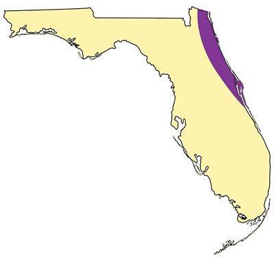 Florida Beach Camping Guide : Orlando Family Magazine