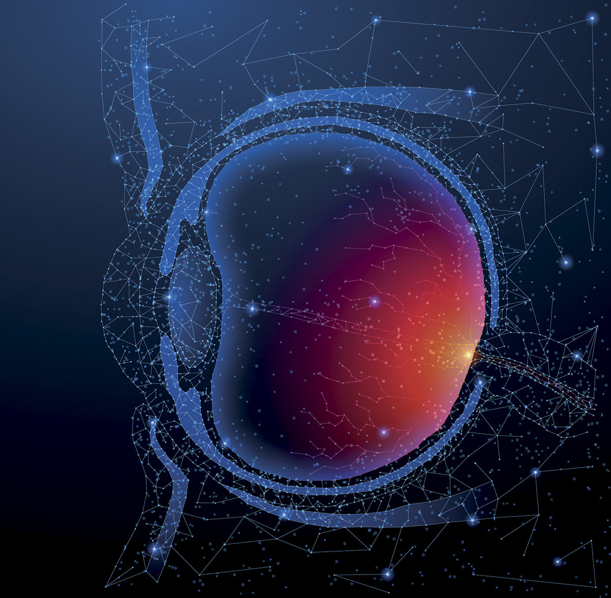 Vision Focused : Orlando Family Magazine